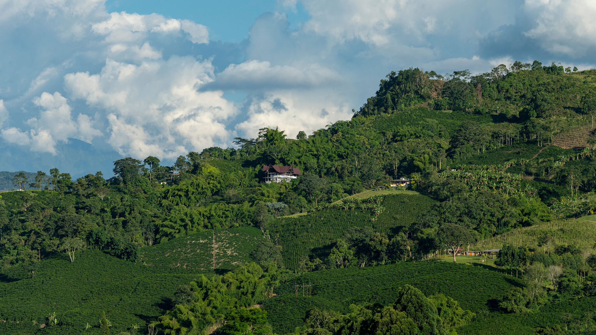 Origins - NCA - About Coffee