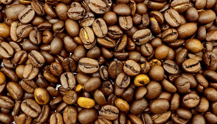 Lifecycle of Coffee - NCA - About Coffee