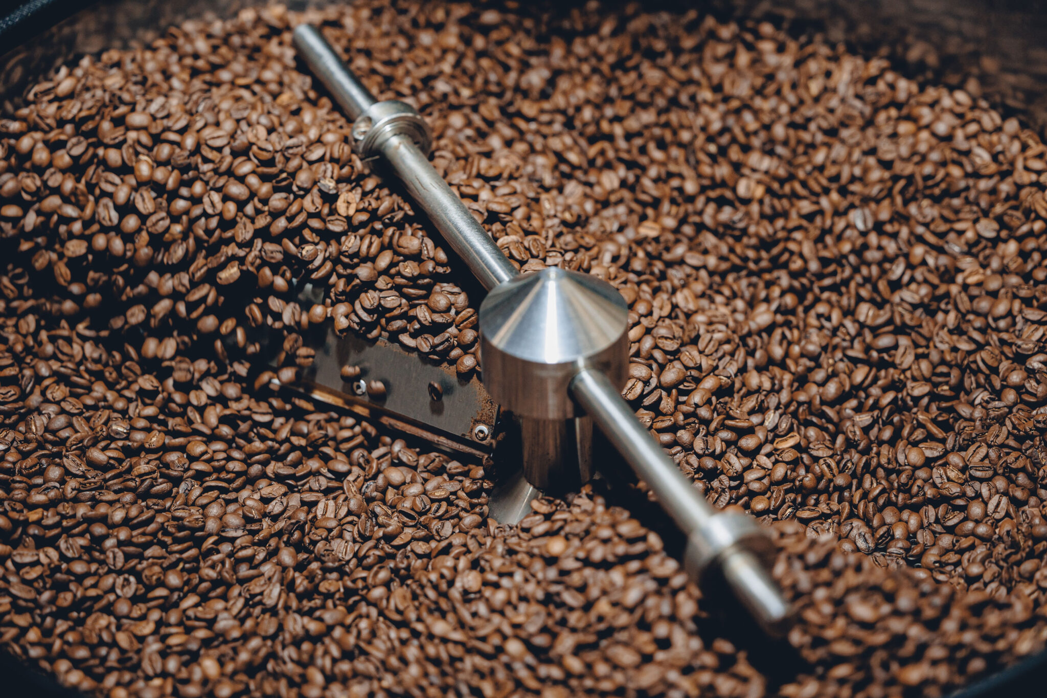 Lifecycle of Coffee - NCA - About Coffee