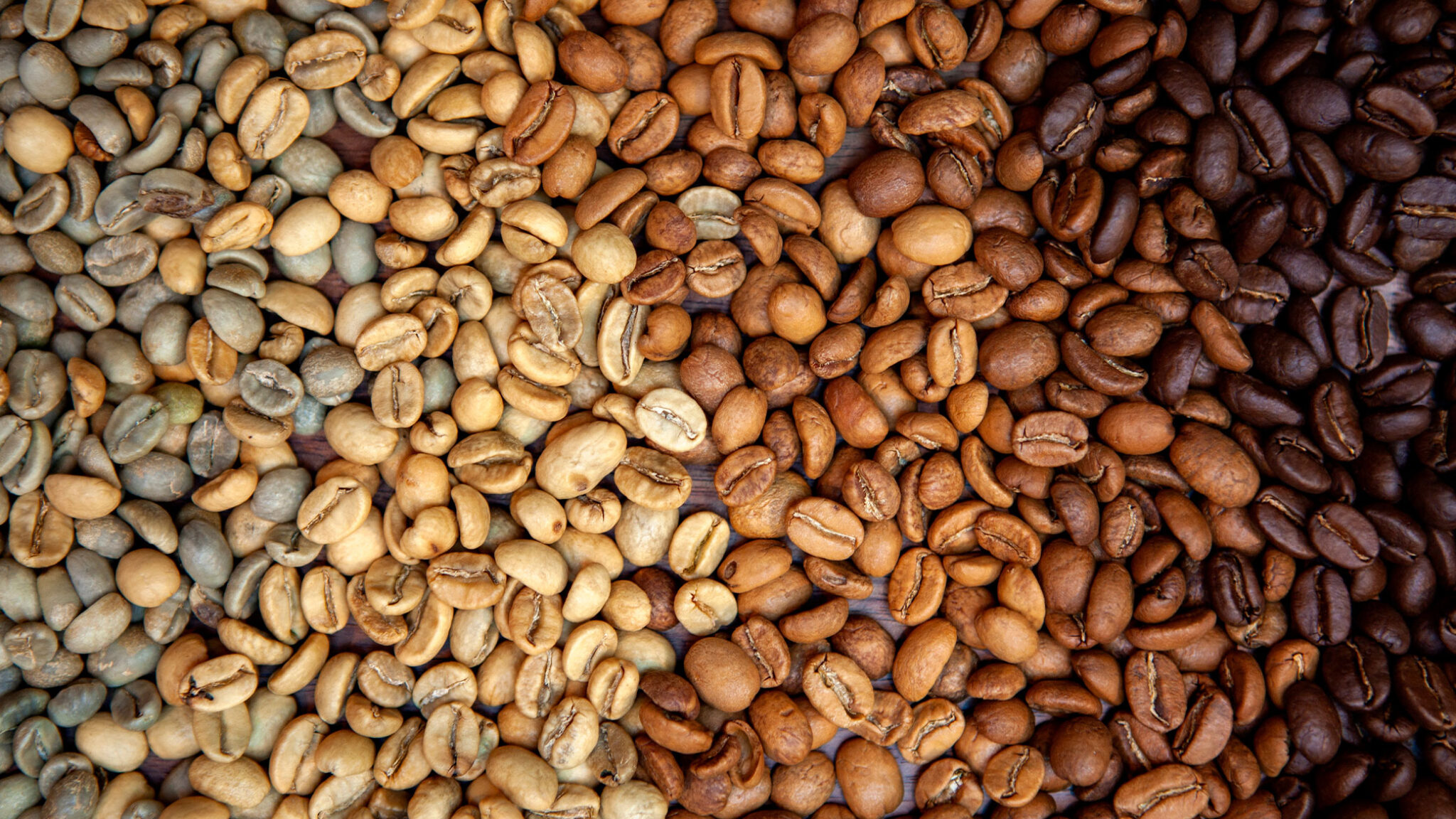 Roasts - NCA - About Coffee