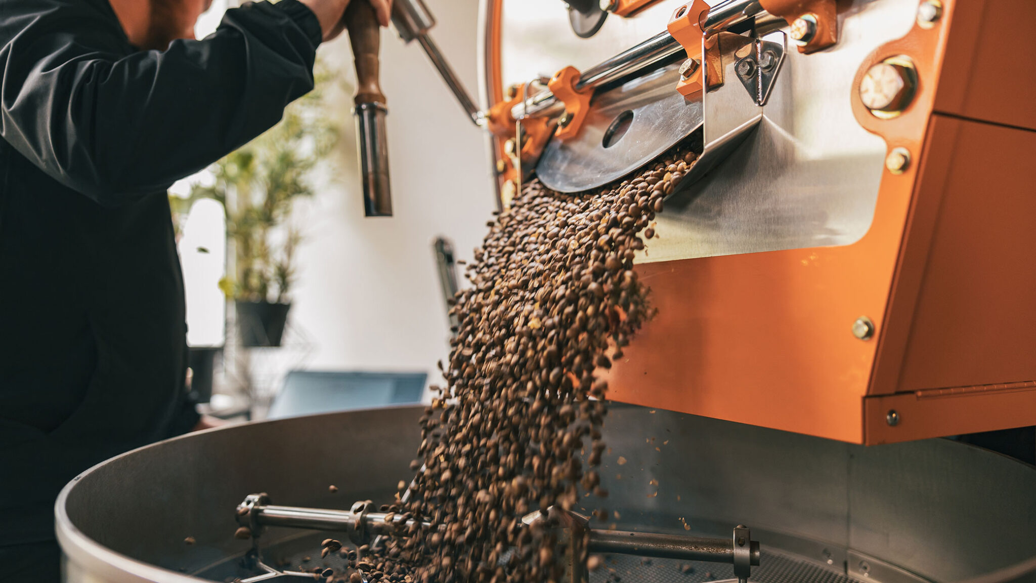 Roasts - NCA - About Coffee