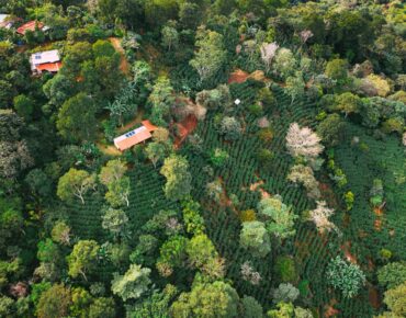 Coffee regions of the world - NCA - About Coffee
